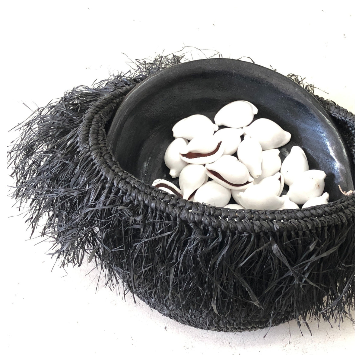 Cowrie Shell- Set of 3 – Deer Willow